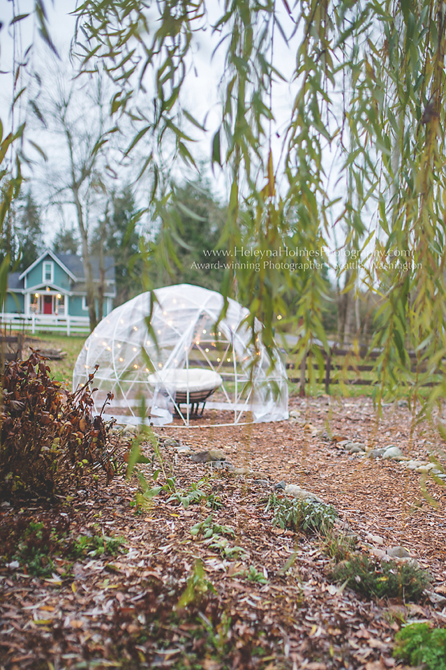Garden Igloo ~ Wild Hearts Farm ~ Seattle/Tacoma's Premier Photo Venue